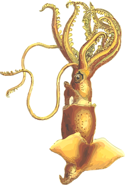 Squid poem in The Ofi Press « Amanda's Circus